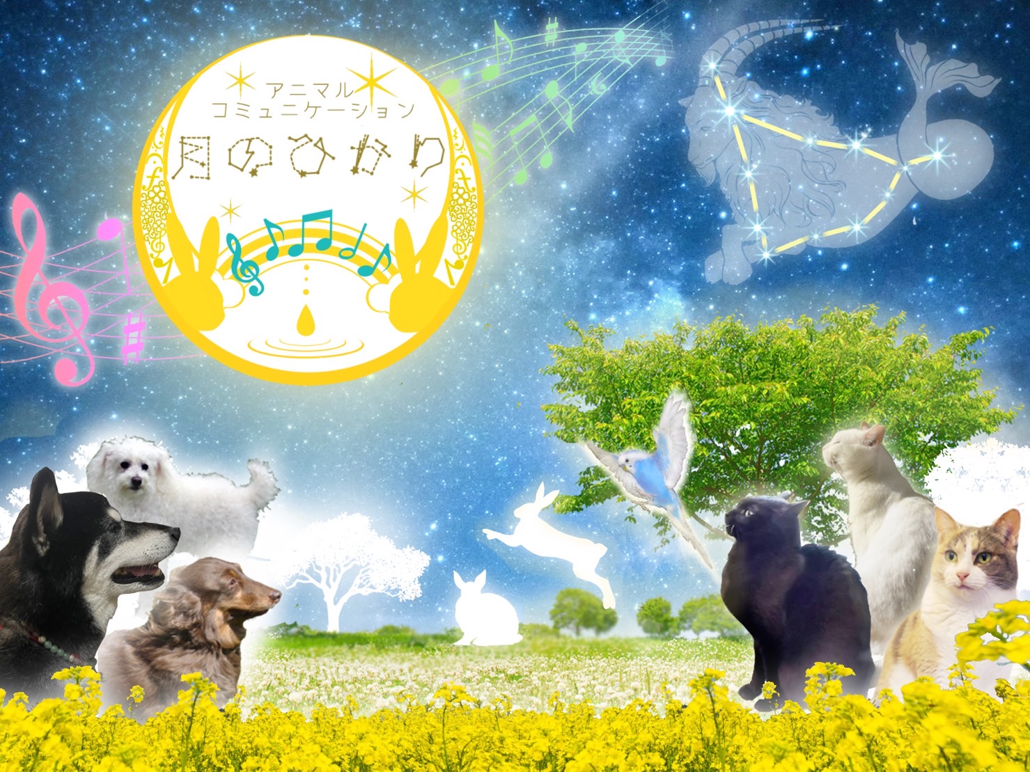 月のひかりについて