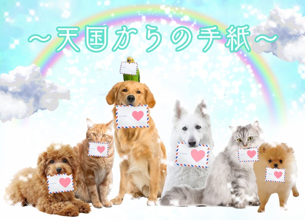 ペットロスについて